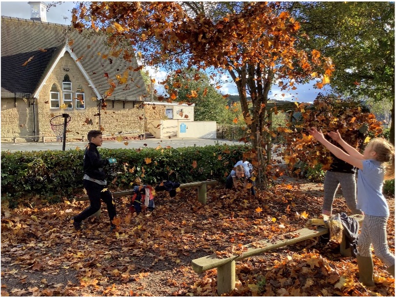 Falcons | Upper Arley Primary